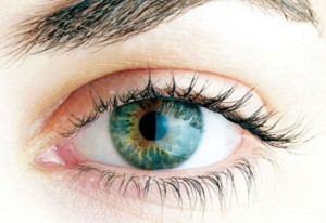 Affections du tissu conjonctif du tarse - Ophtalmologie