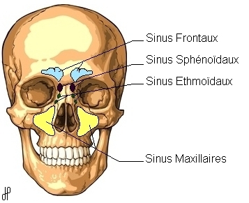 La névrite rétrobulbaire dans les sinusites - Ophtalmologie
