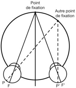 Autres vision binoculaire - Ophtalmologie
