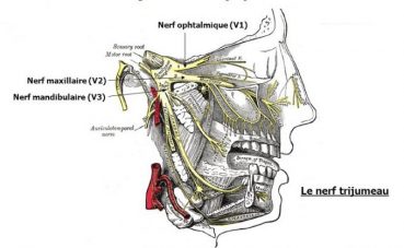 Le zona ophtalmique - Ophtalmologie